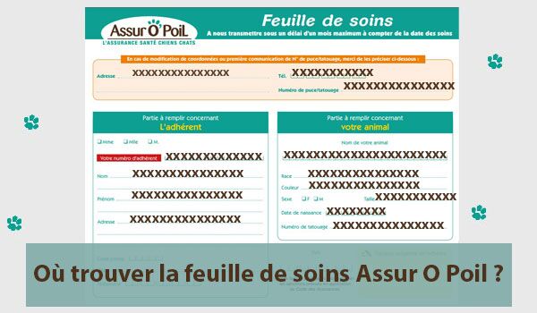Comment se faire rembourser sur Assur O poil